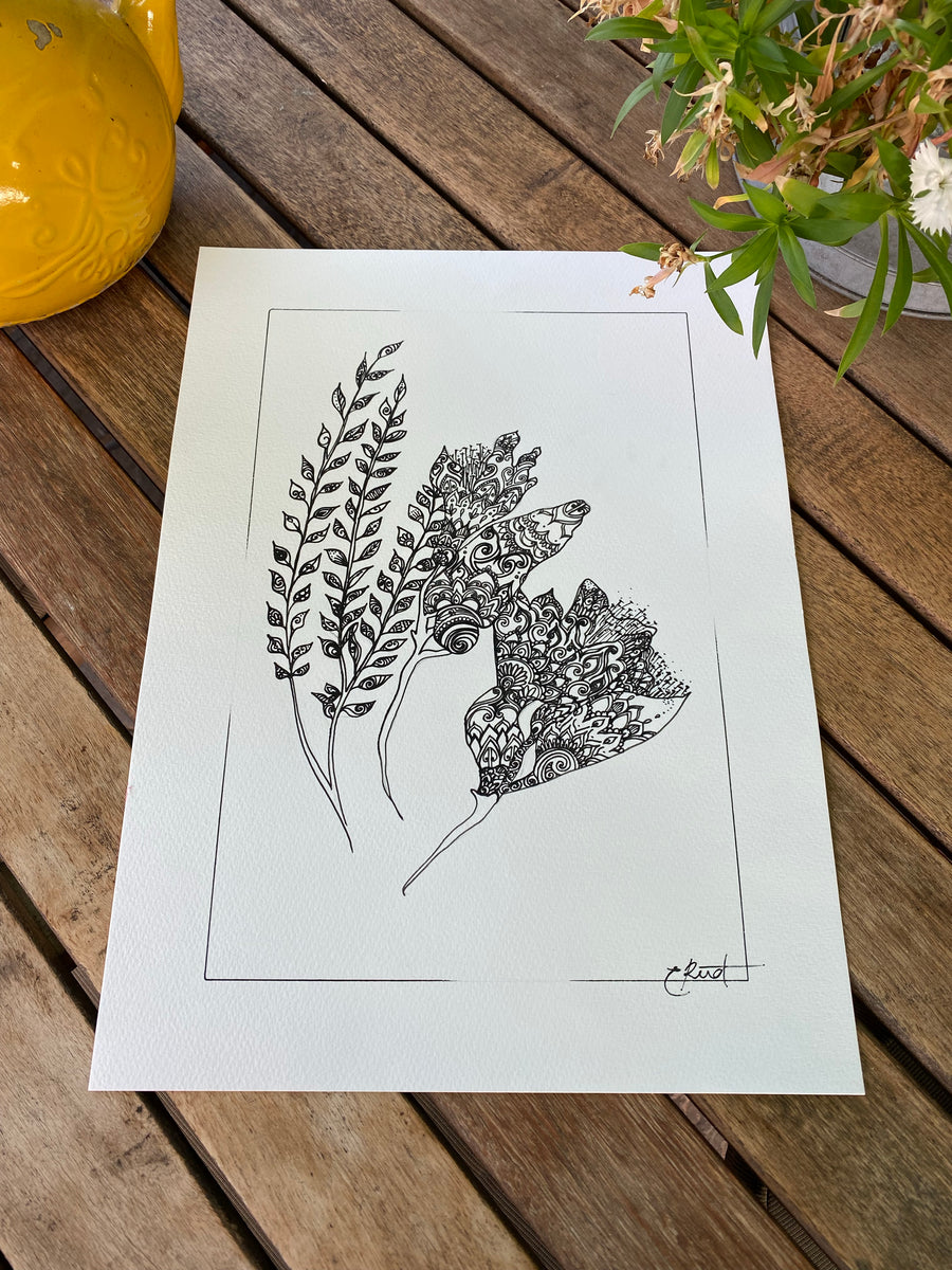 Kowhai Flowers - Ink on Paper - PLUS Digital Download for Colouring Av ...