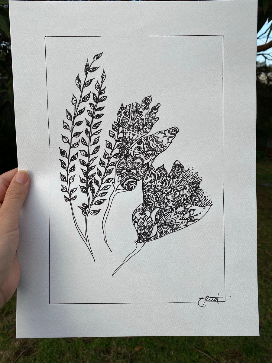 Kowhai Flowers - Ink on Paper - PLUS Digital Download for Colouring Av ...
